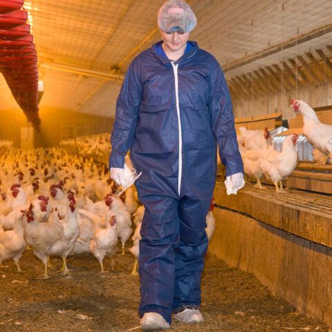 Departments | Georgia Poultry Laboratory Network