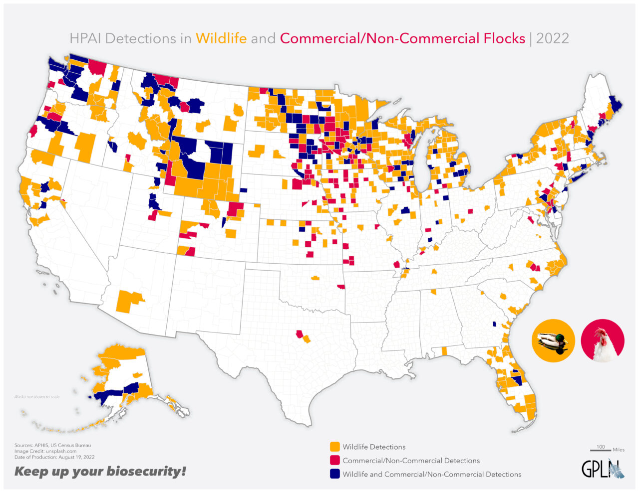 Avian Influenza | Georgia Poultry Laboratory Network